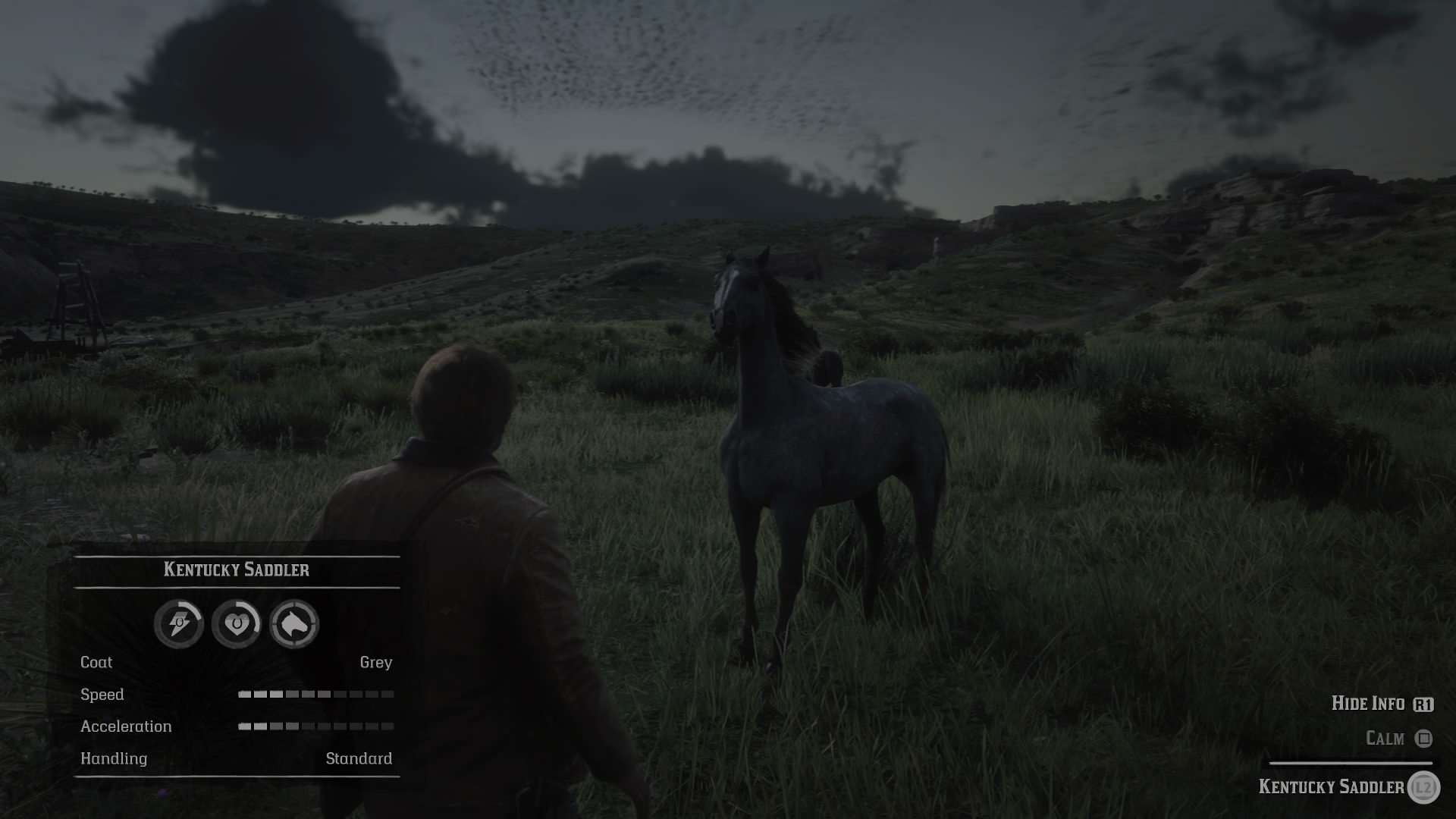 Red Dead Redemption 2 review - Brokehorse Mountain